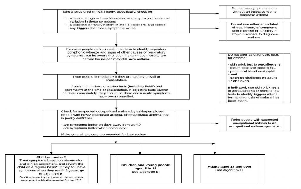 niceguidelines_algorithm_a | Bedfont NObreath® FeNO Monitor