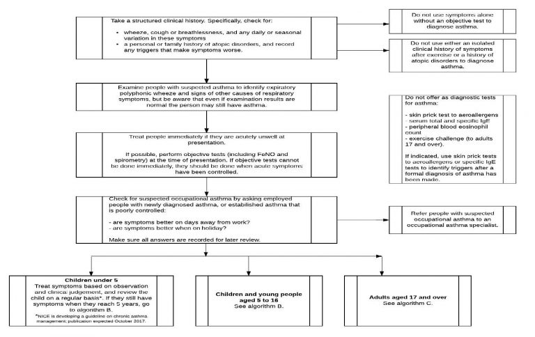 niceguidelines_algorithm_a | Bedfont NObreath® FeNO Monitor
