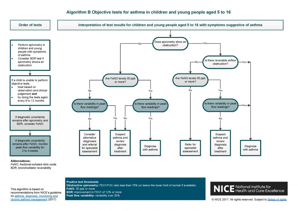 niceguidelines_algorithm_b_2 | Bedfont NObreath® FeNO Monitor
