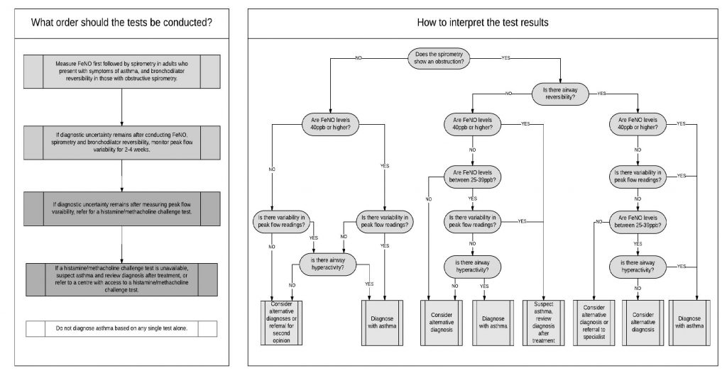 niceguidelines_algorithm_c | Bedfont NObreath® FeNO Monitor